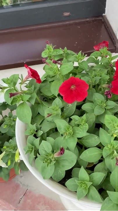 Просто вкусно😉 Youtube