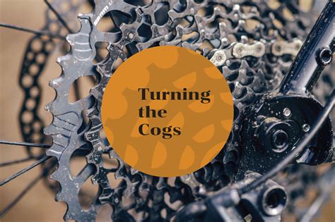 Take The Turning The Cogs Survey