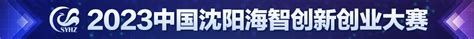 辽宁频道国际在线