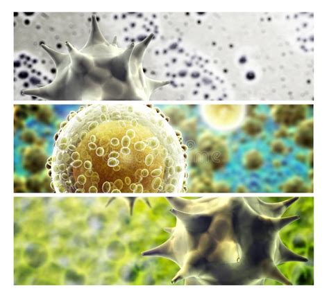 Collection Banners With Pathogenic Bacterias And Viruses 3d Virus