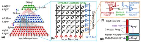 neuromorphic soc architecture a a fully connected spiking neural