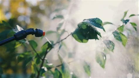 Профессиональная аккумуляторная садовая техника Greenworks Commercial ...