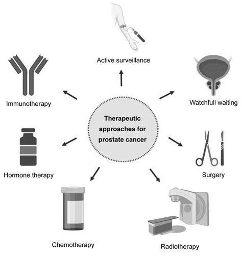 Figure 2 Evolution Of Models Of Prostate Cancer Their Contribution