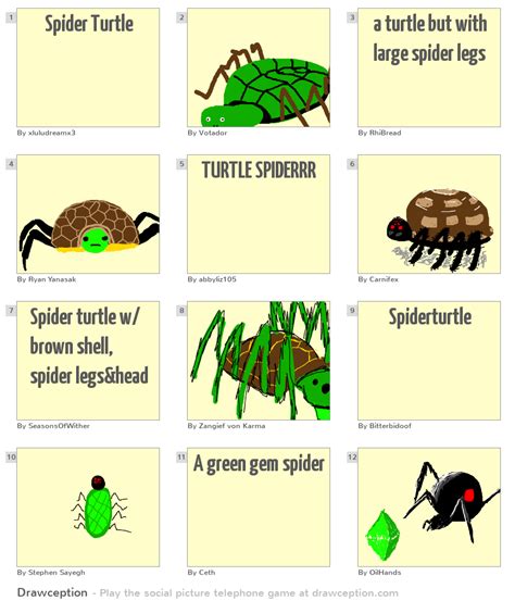 Spider Turtle Drawception