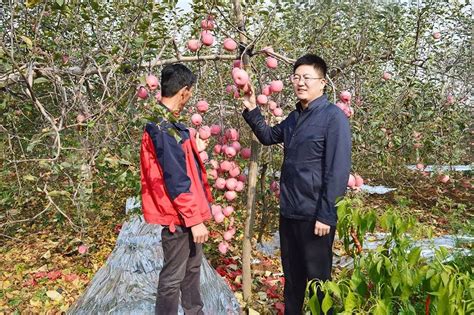 陕西先锋｜全省优秀选调生风采录（四）脱贫
