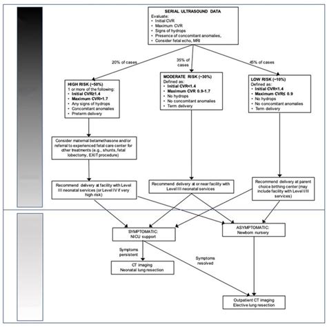 Fetal Left Thoracotomy And Lobectomy For A Congenital Pulmonary Airway Download Scientific