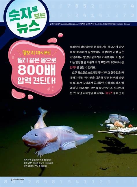 알라딘 미리보기 어린이수학동아 11 수와 연산