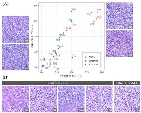 Association Between Predictions From Two Xgboost Models A The Download Scientific Diagram