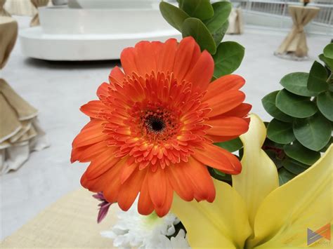 Xiaomi Redmi A Unboxing And First Impressions