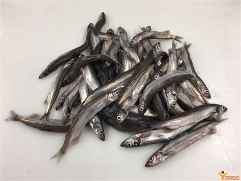 Рыба похожая на мойву 57 фото картинки и фото Vostorg Buzz