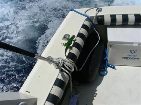 Free Loader Sams Marine Hatteras Owners Forum And Gallery