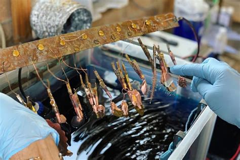 Electroforming Revolutionizing Metal Fabrication