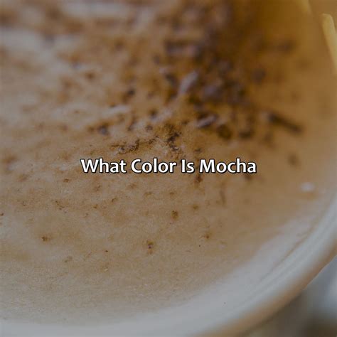What Color Is Mocha