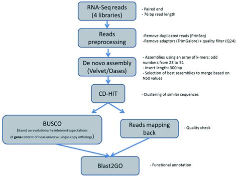 bioinformatics pipeline used for transcriptome de novo assembly