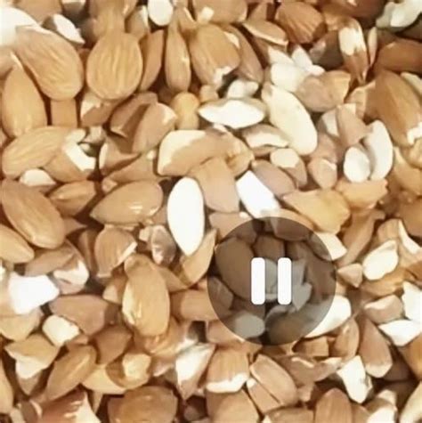Badam Nuts 25 Kg Bags At Rs 550kg In Coimbatore Id 27456939012