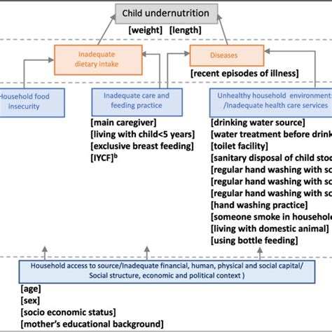 Conceptual Framework Of Factors Associated With Undernutrition Assessed