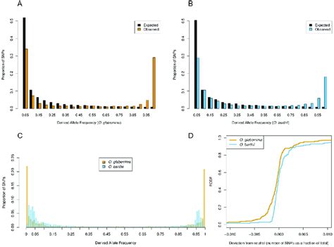 Derived Allele Frequency Spectrum Of Non Coding And Synonymous