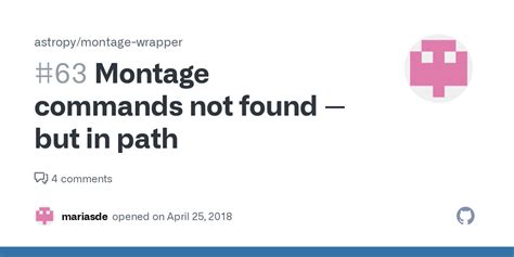 Montage Commands Not Found But In Path · Issue 63 · Astropymontage