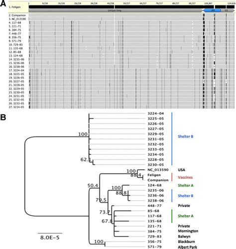 Nucleotide Sequence Alignment And Phylogenetic Tree Of The Complete Download Scientific Diagram