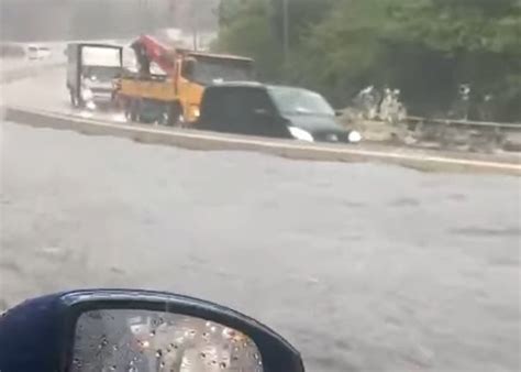 本年首發黃雨警告 新界多區幹道水浸 呈祥道水位及石壆｜即時新聞｜港澳｜oncc東網