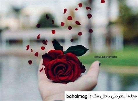 عکس پروفایل بدون متن ساده ️ [ بهترین تصاویر ]