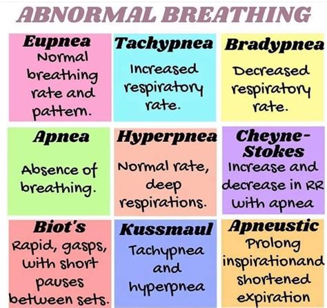 3 Nursing Cheat Sheet Eupnea Normal Breathing Rate And Pattern