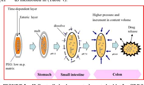 Figure 2 From An Approach Towards Review On Colon Targeted Drug Delivery System Semantic Scholar