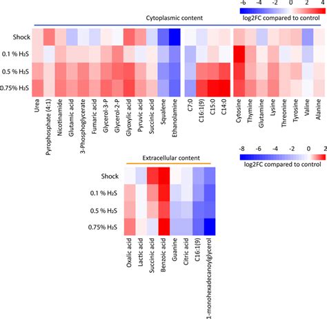 Heatmap Of Selected Metabolites Analyzed By Gcms Metabolite Profiling