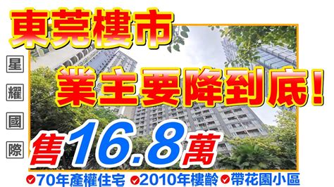 港人退休必睇樓盤星耀國際，大灣區東莞樟木頭東莞樓盤二手樓總價168萬買31平方1房1廳東南朝向，約310尺，採光靚，近樟木頭觀音山退休必選