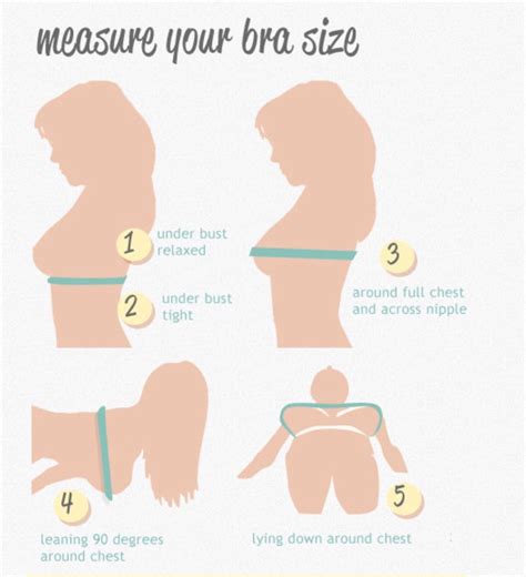 A Bra That Fits Bra Size Calculator Grosscompany
