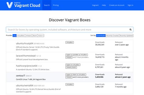 Vagrant
