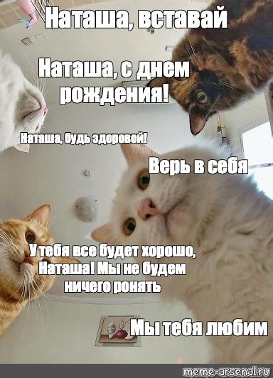 Мем Наташа вставай Наташа с днем рождения Наташа будь здоровой Верь в себя У тебя все