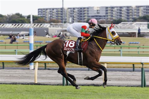 新馬戦での「新種牡馬産駒狙い」は有効なのか。競馬誌元編集長がデータを徹底分析 日刊spa 2ページ目