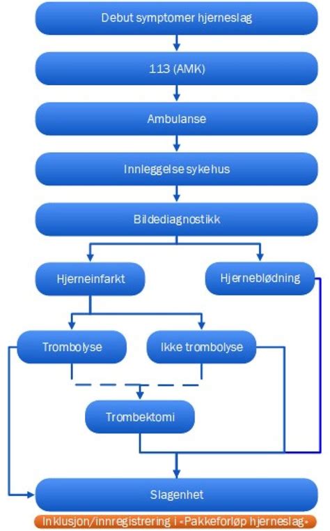 Skjematisk Oversikt Helsedirektoratet