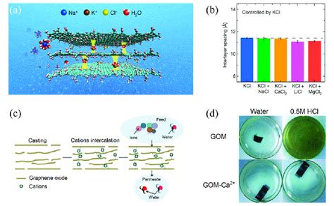 Cation Controlled Go Membranes A Interaction Between K Ions And Go Download Scientific