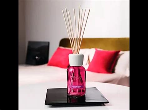 Køb Stick Diffuser Hos Ametsis