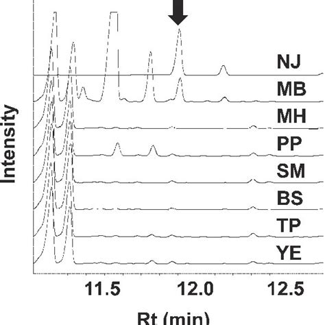 Gas Chromatography Flame Ionization Detection Overlaid On Chromatograms Download Scientific