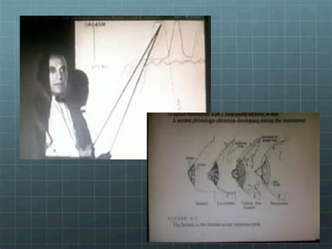Human Sexual Response Nw Ppt