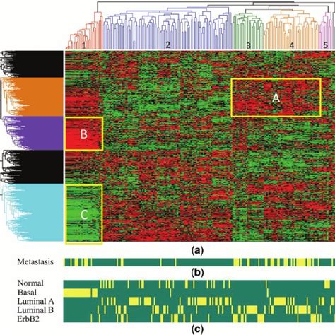 Hierarchical Clustering Of Pc Classifier Models From Nki Dataset A
