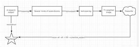 Freesurfer学习笔记——practice Working With Data运行recon All 错误 Csdn博客