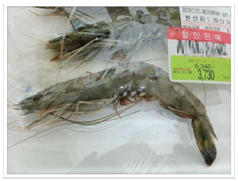 마다가스칼의 홍다리얼룩새우 새우