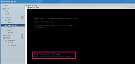 Esxi Vm Network In Esxi 7 Dhcp 아이피 할당 가능여부