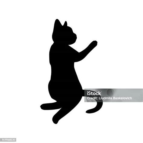 거짓말 고양이 검은 실루엣 장난기 많은 고양이 스텐실 벡터 일러스트 레이 션 가공의 인물에 대한 스톡 벡터 아트 및 기타 이미지