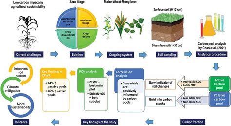 Effect Of Conservation Agriculture Practices On Carbon Pools In A Sandy