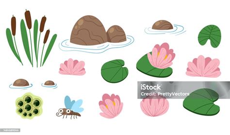 식물 연꽃 잔디 늪 물 호수 디자인 요소 세트입니다 벡터 그래픽 디자인 일러스트레이션 늪지에 대한 스톡 벡터 아트 및 기타 이미지 늪지 풀 벼과 습지 Istock