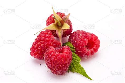 树莓在白