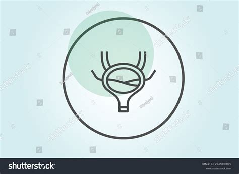 Urinary Tract Infection In Women