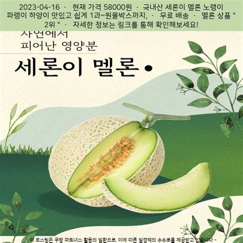 2023 04 16 58000원 국내산 세론이 멜론 노랭이 파랭이 하양이 맛있고 쉽게 1과 원물박스까지 4수 원물박스