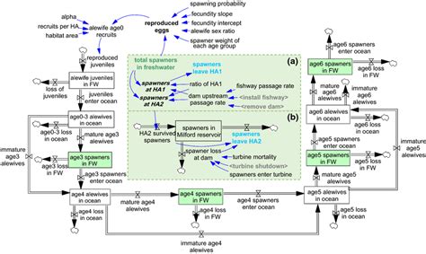 A Simplified Version Of The Stock And Flow Diagram Showing The Key Download Scientific Diagram