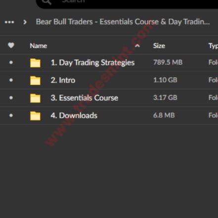 Bear Bull Traders Essentials Course Day Trading Strategies Trades